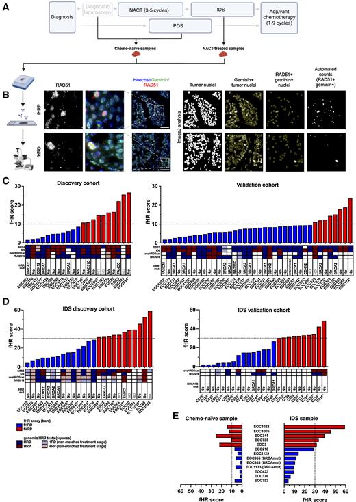 Functional Homologous Recombination Assay on FFPE Specimens of Advanced ...