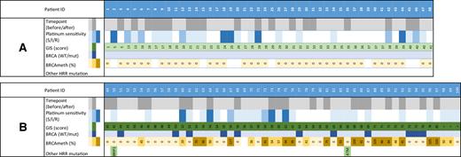 Clinical Relevance of BRCA1 Promoter Methylation Testing in Patients ...