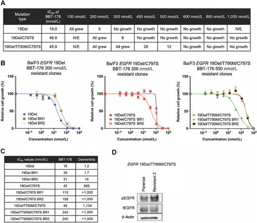 BBT-176, a Novel Fourth-Generation Tyrosine Kinase Inhibitor for ...