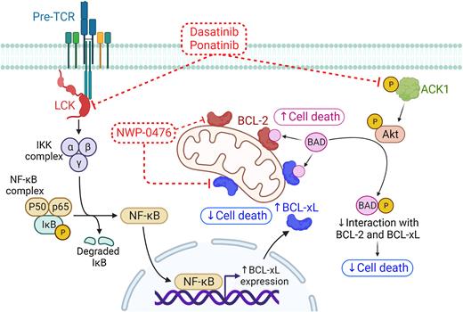 Dual Targeting of Apoptotic and Signaling Pathways in T-Lineage Acute ...