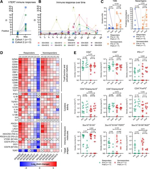 Clinical Activity of Combined Telomerase Vaccination and Pembrolizumab in Advanced Melanoma ...