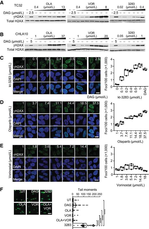 A Bifunctional PARP-HDAC Inhibitor with Activity in Ewing Sarcoma ...