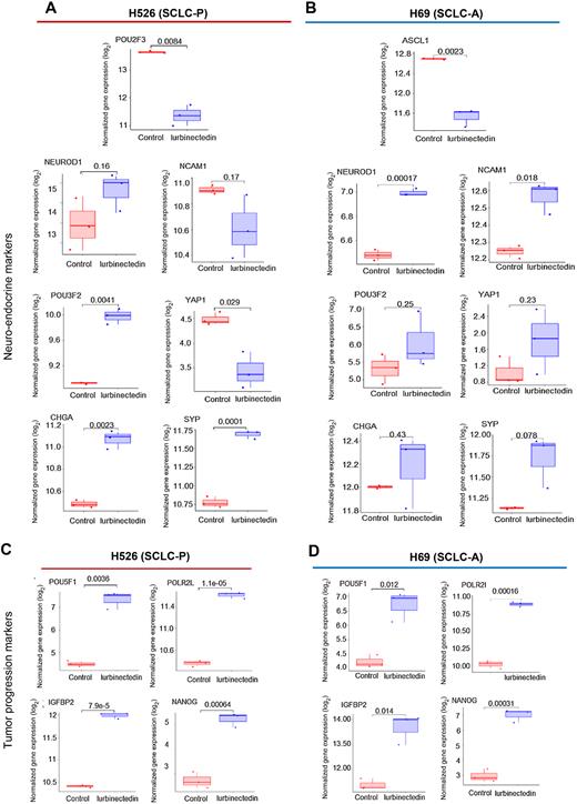 De Novo and Histologically Transformed Small-Cell Lung Cancer Is ...