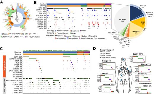 The GENIE BPC NSCLC Cohort: A Real-World Repository Integrating ...