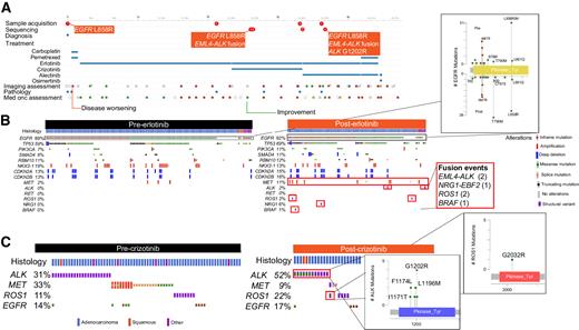 The GENIE BPC NSCLC Cohort: A Real-World Repository Integrating ...