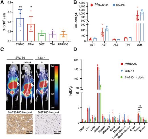 First-in-Human Study of the Radioligand 68Ga-N188 Targeting Nectin-4 ...