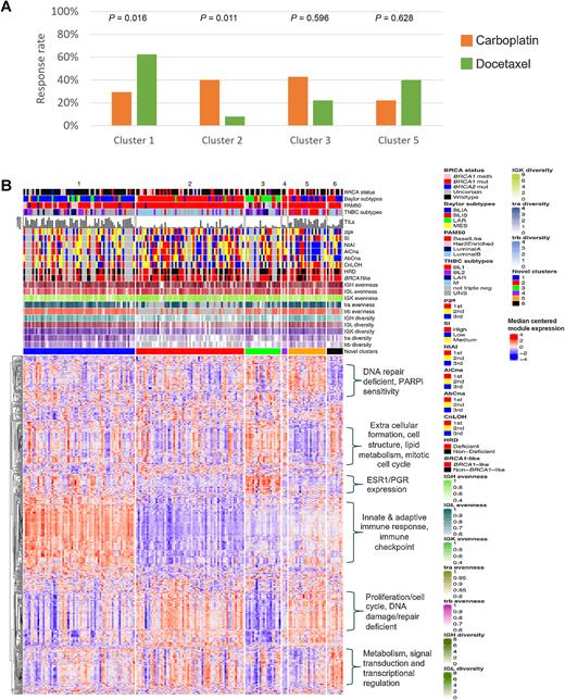 Integrated Multimodal Analyses of DNA Damage Response and Immune ...