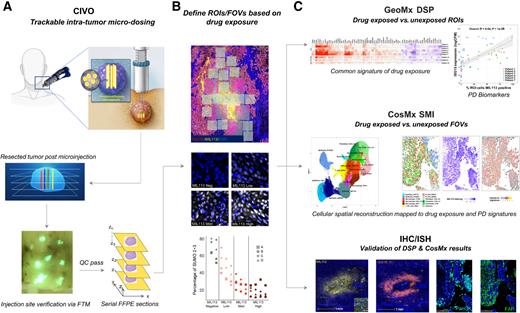 Trackable Intratumor Microdosing and Spatial Profiling Provide Early ...