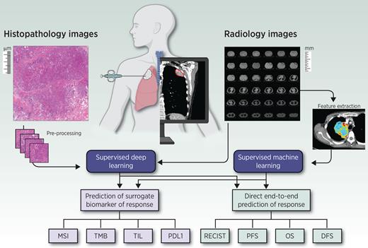 Facts and Hopes on the Use of Artificial Intelligence for Predictive ...