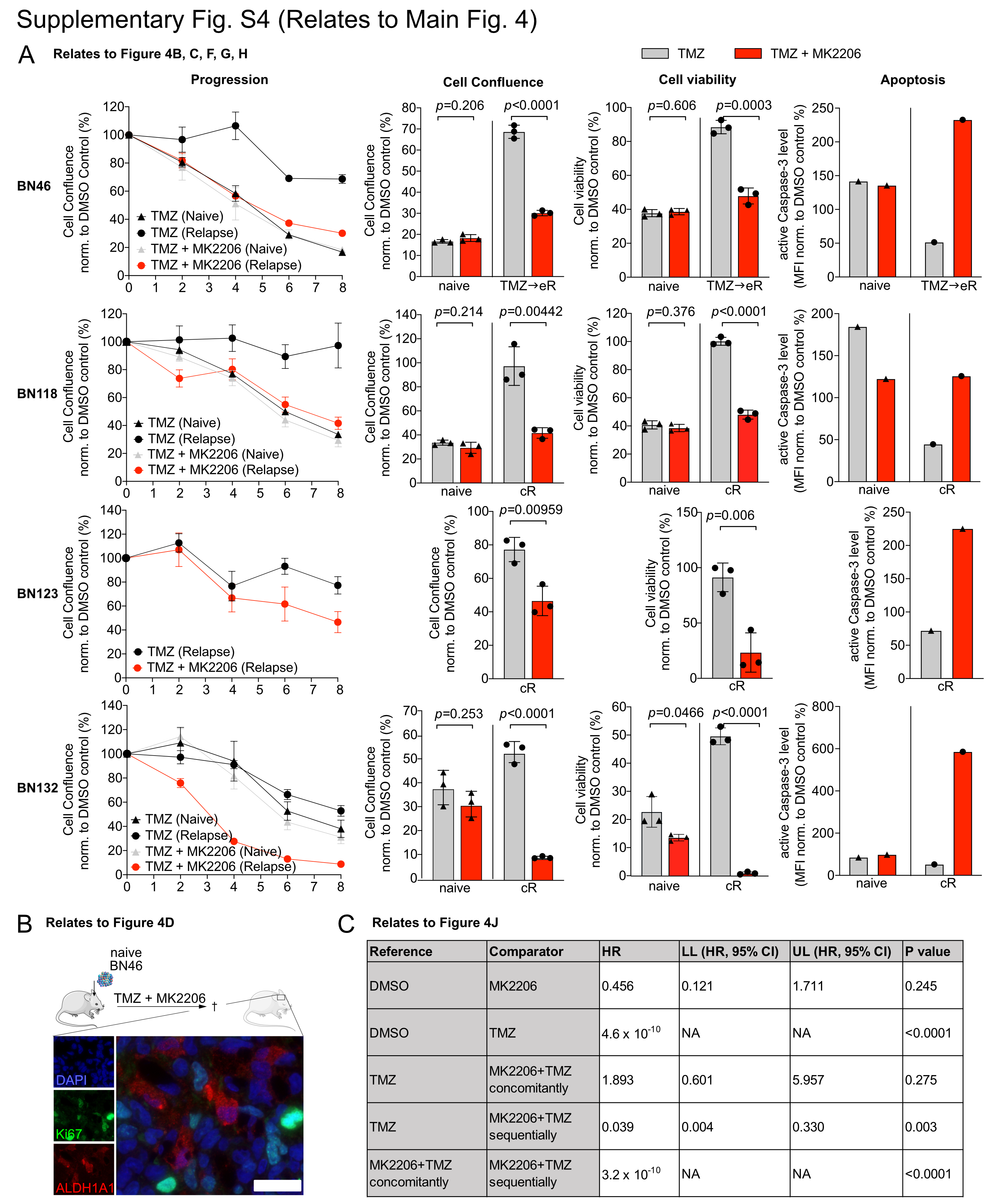 A Sequential Targeting Strategy Interrupts AKT-Driven Subclone-Mediated ...