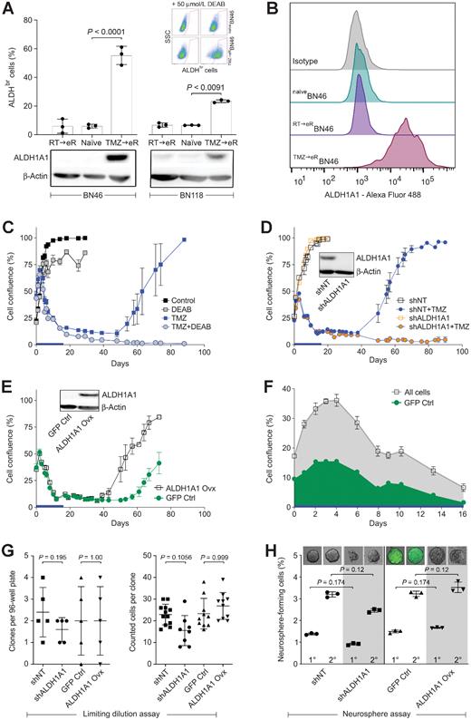 A Sequential Targeting Strategy Interrupts AKT-Driven Subclone-Mediated ...