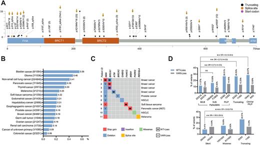 NBN Pathogenic Germline Variants are Associated with Pan-Cancer ...