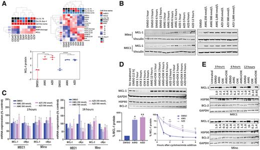 Mechanisms of MCL-1 Protein Stability Induced by MCL-1 Antagonists in B ...
