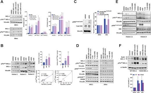 Mechanisms of MCL-1 Protein Stability Induced by MCL-1 Antagonists in B ...