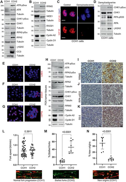 Molecularly Defined Subsets of Ewing Sarcoma Tumors Differ in Their ...