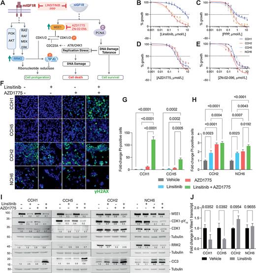Molecularly Defined Subsets of Ewing Sarcoma Tumors Differ in Their ...