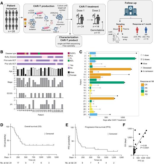 Single-Cell RNA Analysis Reveals Cell-Intrinsic Functions of CAR T ...