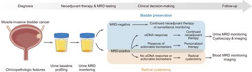 Urinary Tumor DNA MRD Analysis to Identify Responders to Neoadjuvant Immunotherapy in Muscle ...