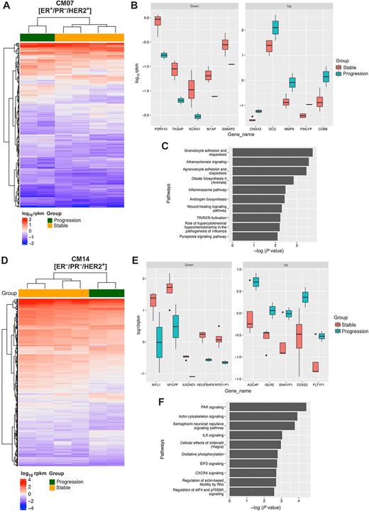 ATM-Inhibitor AZD1390 Is a Radiosensitizer for Breast Cancer CNS ...