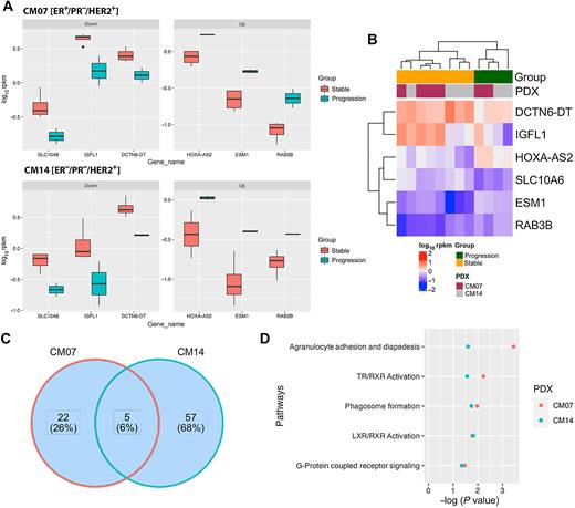 ATM-Inhibitor AZD1390 Is a Radiosensitizer for Breast Cancer CNS ...