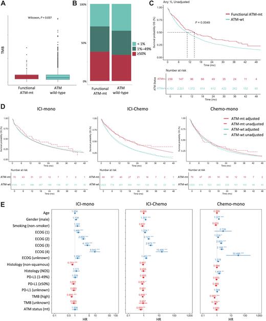 ATM Mutations Associate with Distinct Co-Mutational Patterns and ...