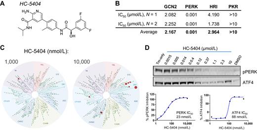 PERK Inhibition by HC-5404 Sensitizes Renal Cell Carcinoma Tumor Models ...