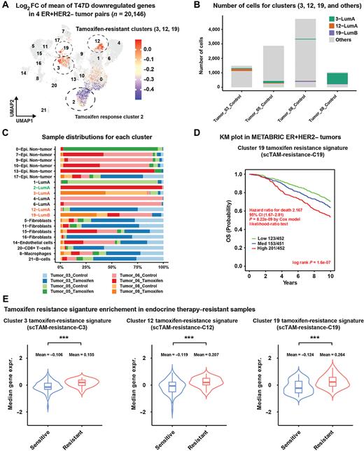 Tamoxifen Response at Single-Cell Resolution in Estrogen Receptor ...