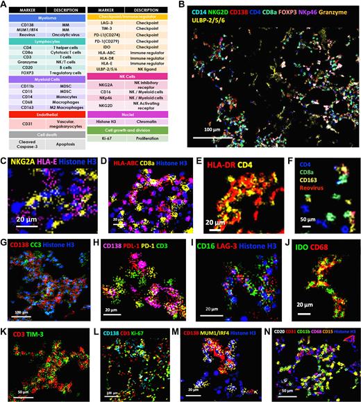 Comprehensive Single-Cell Immune Profiling Defines the Patient Multiple ...