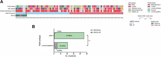 Genomic Tumor Correlates of Clinical Outcomes Following Organ-Sparing ...