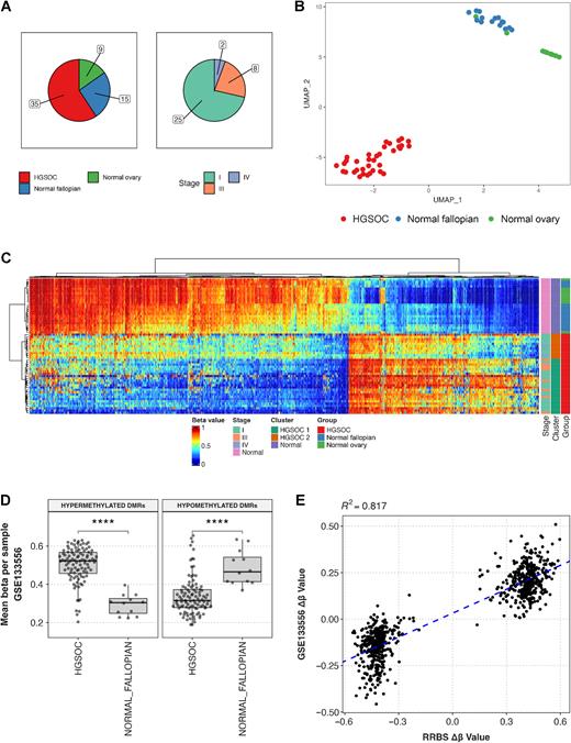 OvaPrint—A Cell-free DNA Methylation Liquid Biopsy for the Risk ...