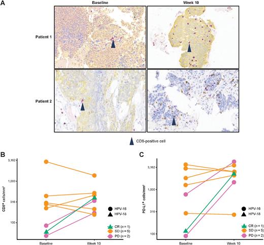Safety and Efficacy of MEDI0457 plus Durvalumab in Patients with Human ...