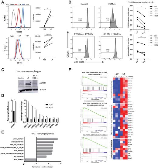 Therapeutic Targeting of LIF Overcomes Macrophage-mediated ...