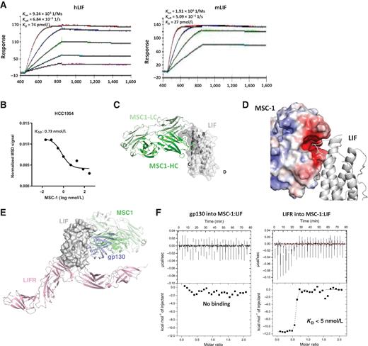 Therapeutic Targeting of LIF Overcomes Macrophage-mediated ...