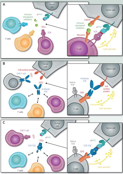 Redirecting Polyclonal T Cells against Cancer with Soluble T-Cell ...