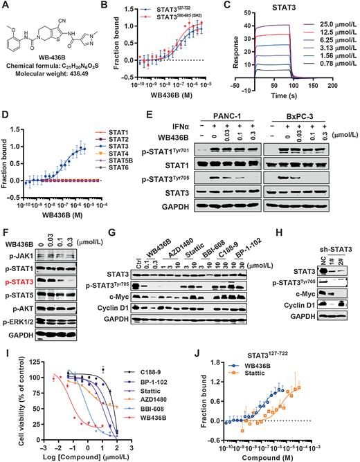 Selectively Targeting STAT3 Using a Small Molecule Inhibitor is a ...