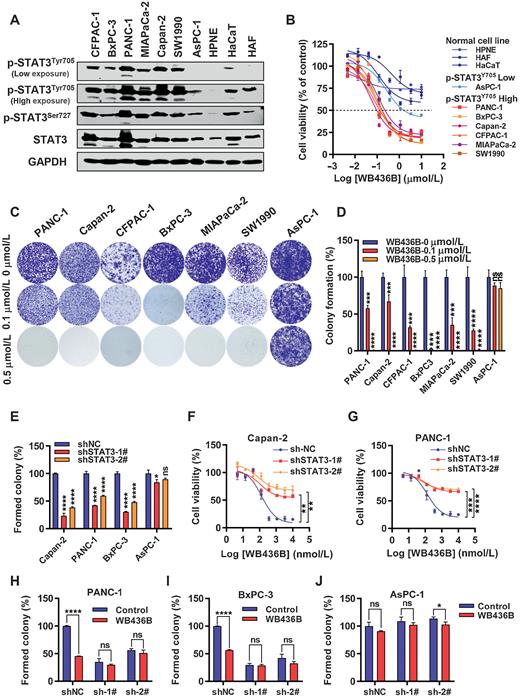 Selectively Targeting STAT3 Using a Small Molecule Inhibitor is a ...