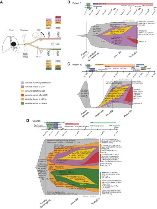 Dynamic Mutational Landscape of Cerebrospinal Fluid Circulating Tumor ...