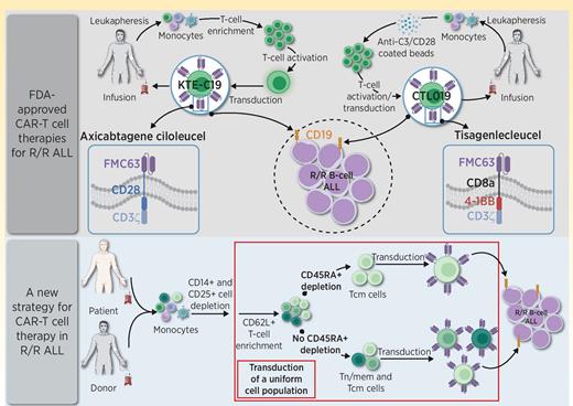 Enhancing CD19 Chimeric Antigen Receptor T Cells Through Memory ...