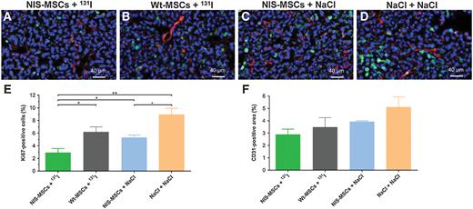 Mesenchymal Stem Cell–mediated Image-guided Sodium Iodide Symporter ...