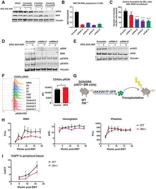 Crizotinib Has Preclinical Efficacy in Philadelphia-Negative ...