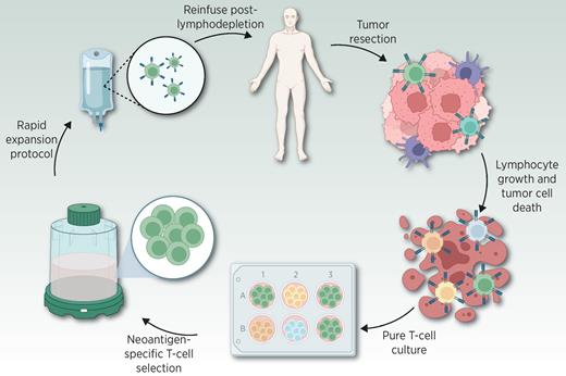 Cellular Cancer Immunotherapy Development and Manufacturing in the ...