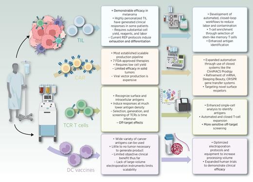 Cellular Cancer Immunotherapy Development and Manufacturing in the ...