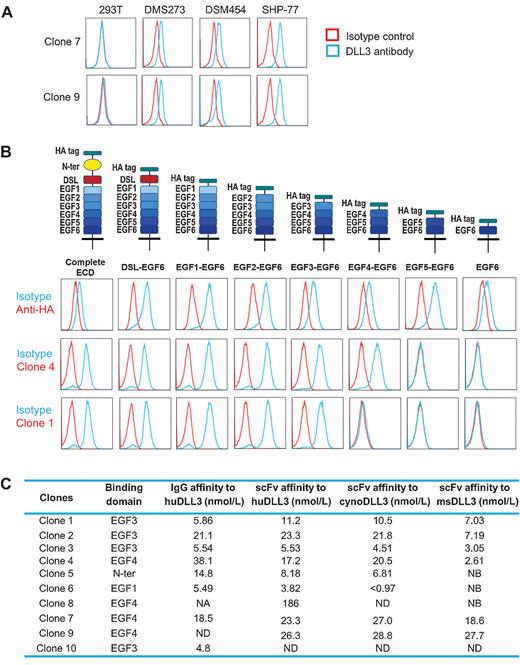 Allogeneic CAR T Cells Targeting DLL3 Are Efficacious and Safe in Preclinical Models of Small ...