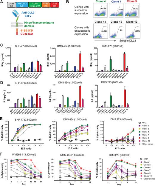 Allogeneic CAR T Cells Targeting DLL3 Are Efficacious and Safe in Preclinical Models of Small ...