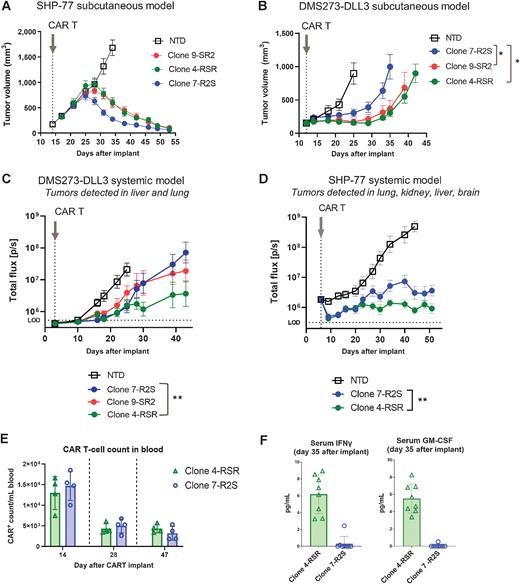 Allogeneic CAR T Cells Targeting DLL3 Are Efficacious and Safe in ...