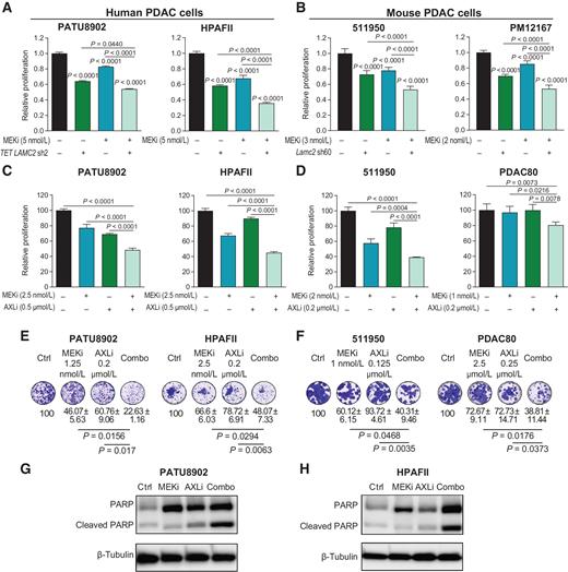LAMC2 Regulates Key Transcriptional and Targetable Effectors to Support ...