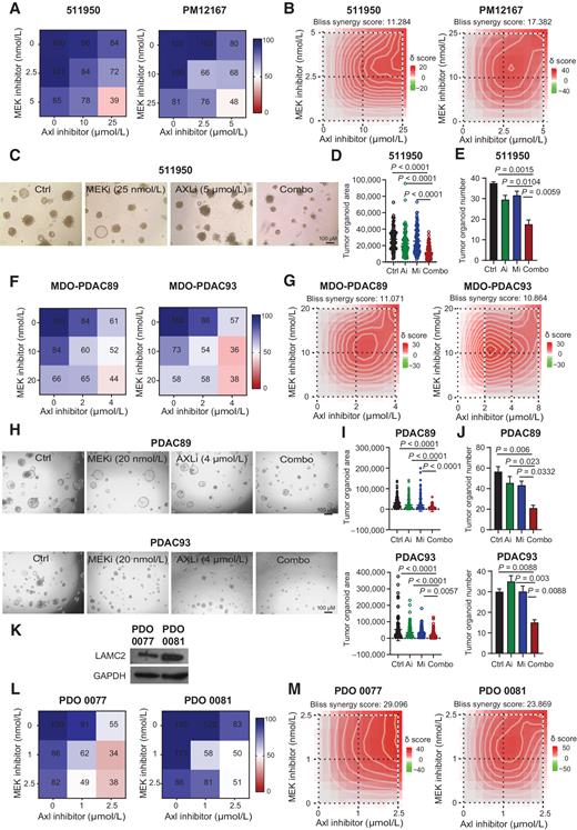 LAMC2 Regulates Key Transcriptional and Targetable Effectors to Support ...