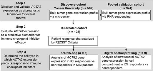 ACTA2 Expression Predicts Survival and Is Associated with Response to ...