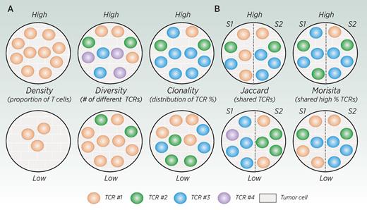 T-Cell Receptor Repertoire Sequencing in the Era of Cancer Immunotherapy | Clinical Cancer ...