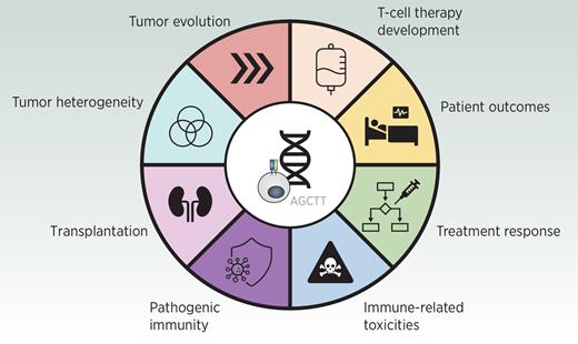T-Cell Receptor Repertoire Sequencing in the Era of Cancer Immunotherapy | Clinical Cancer ...